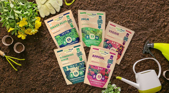 Home Nutripod Blog Plant Care How NutriPod Works: An Easy-to-Use ...