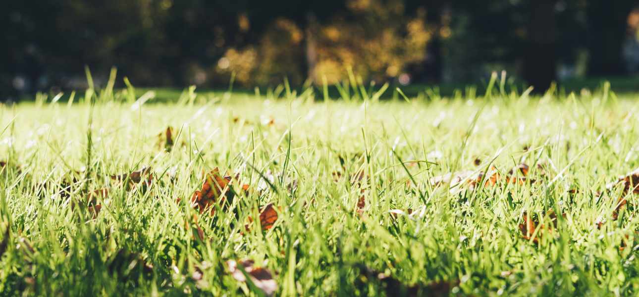 How to Prepare for Peak Growing Season – NutriPod