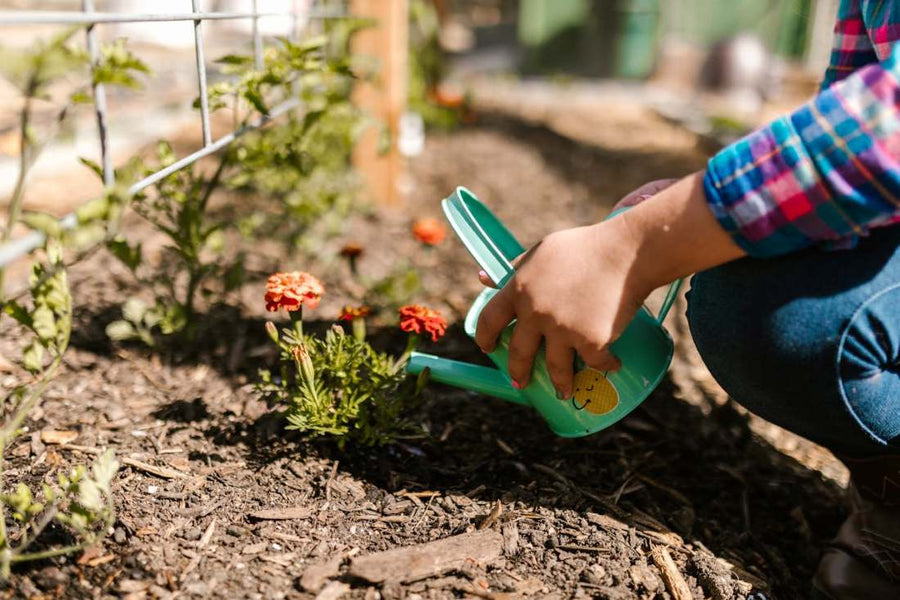 Planting Tips for a Spring-Ready Flower Bed | NutriPod®