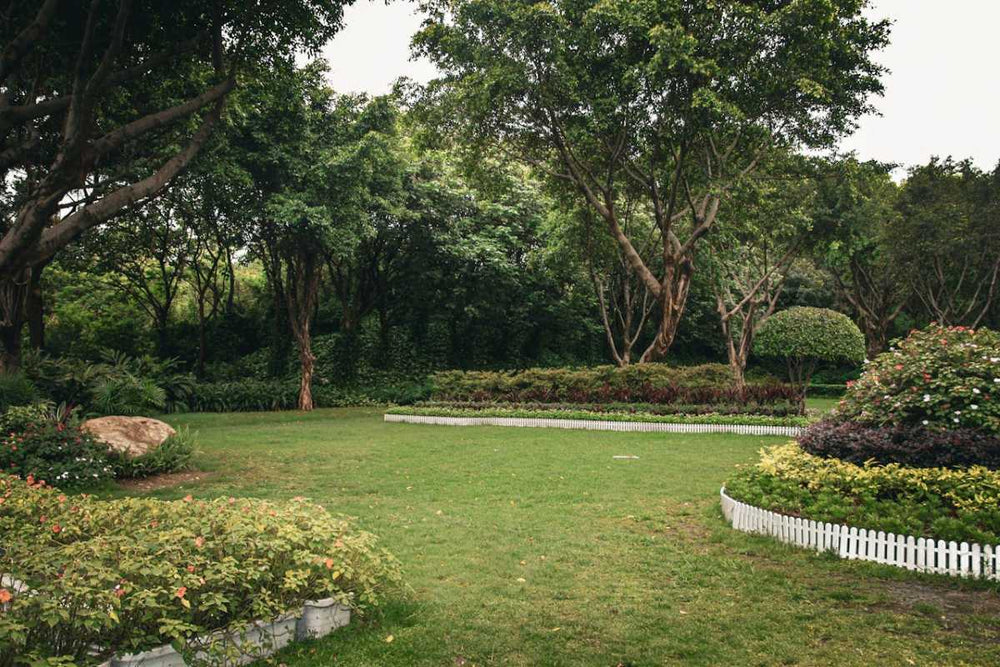 Simple Fixes to Refresh Your Yard | NutriPod® Plant Food